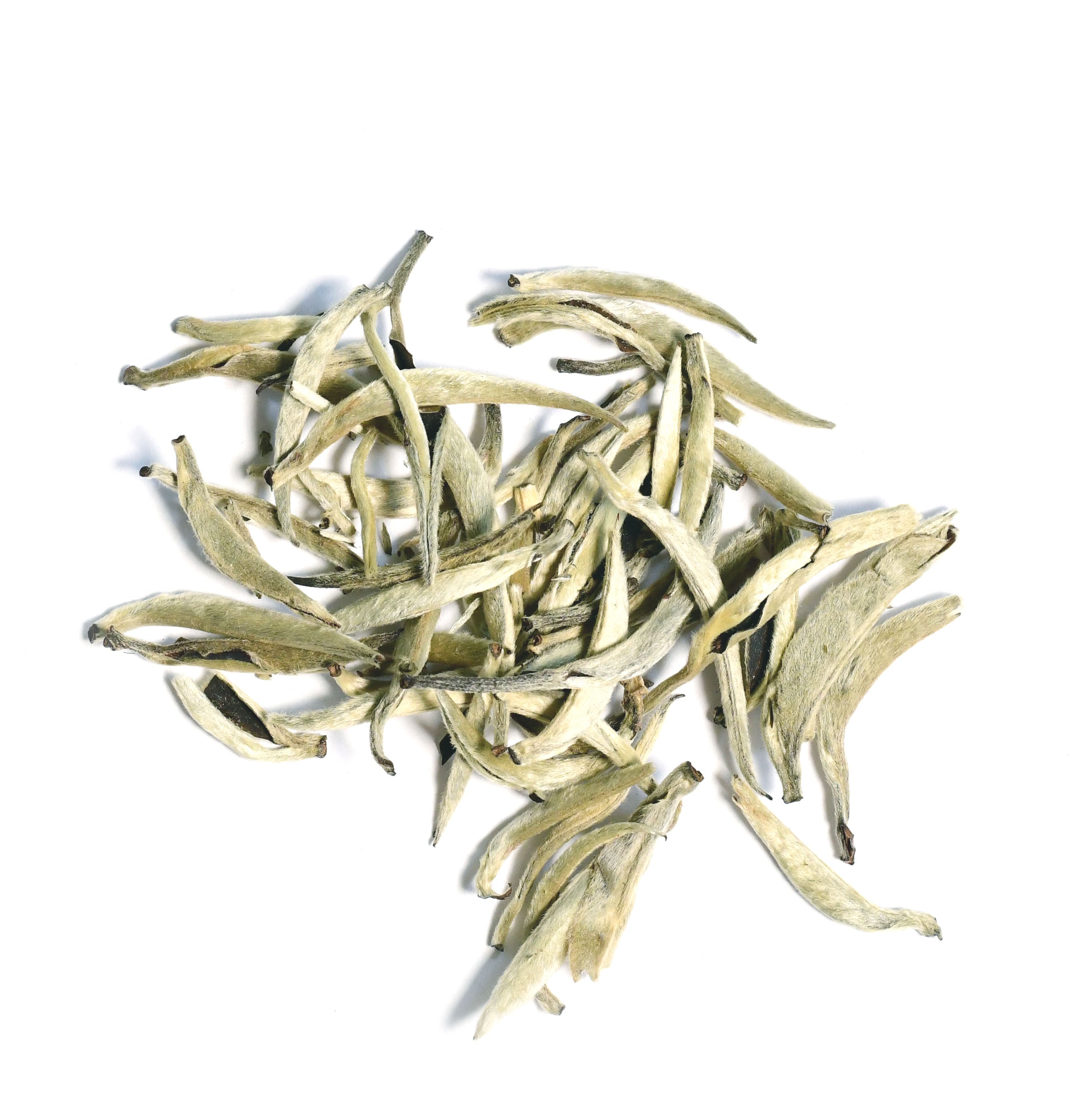 WHITE – Apolis Tea